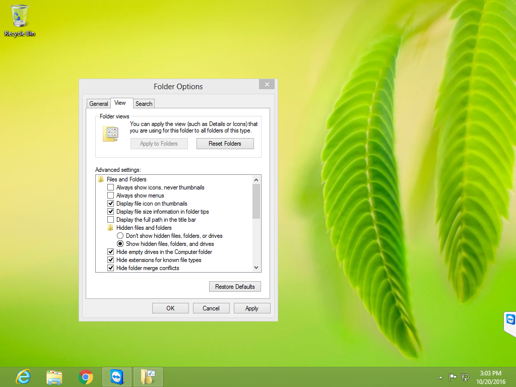 Using Group Policy to Disable Show Hidden Files